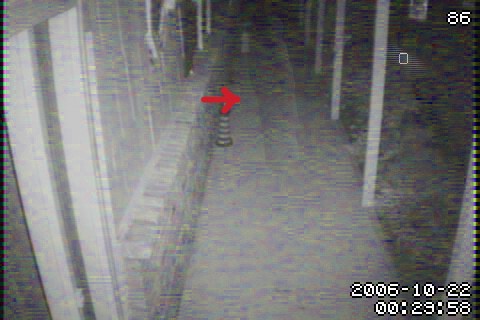 Dimension Paranormal: Las 50 mejores fotos paranormales (part1)