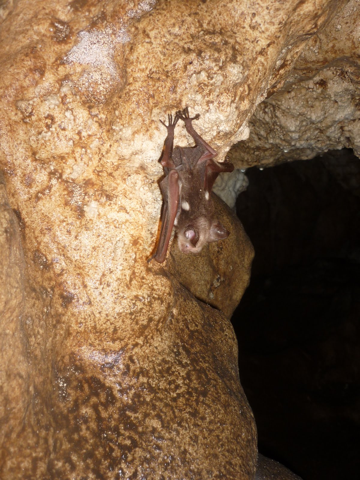 Civil Defence of Malaysia ( CDEF ): Ekspedisi Jabatan Pertahanan Awam ...