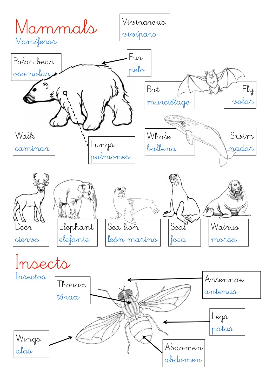 El blog de Mónica: PRIMERO UNIT 4 ALL ABOUT ANIMALS