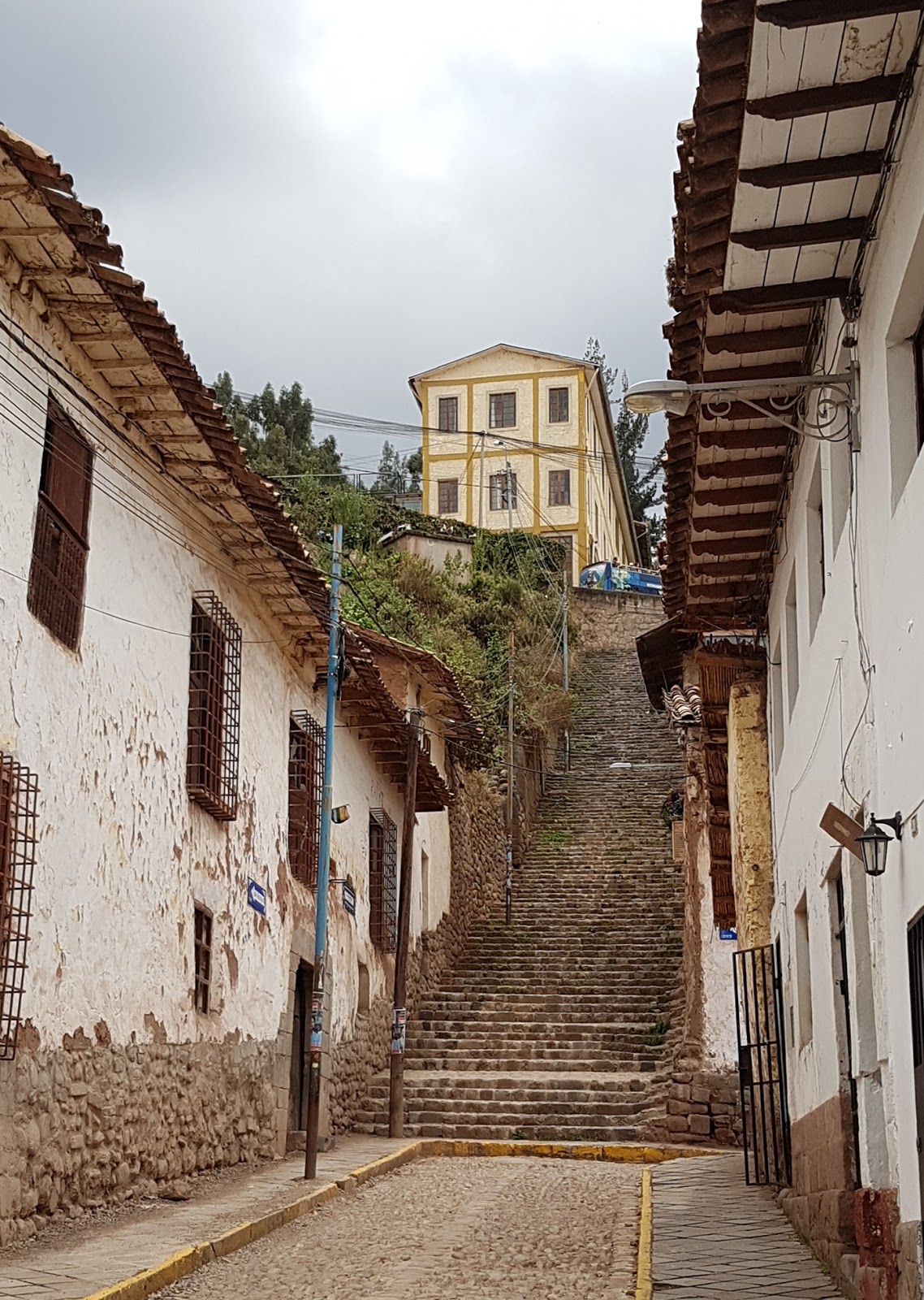 Peru: When in Peru... eat cuy, picuro and alpaca - The Cube