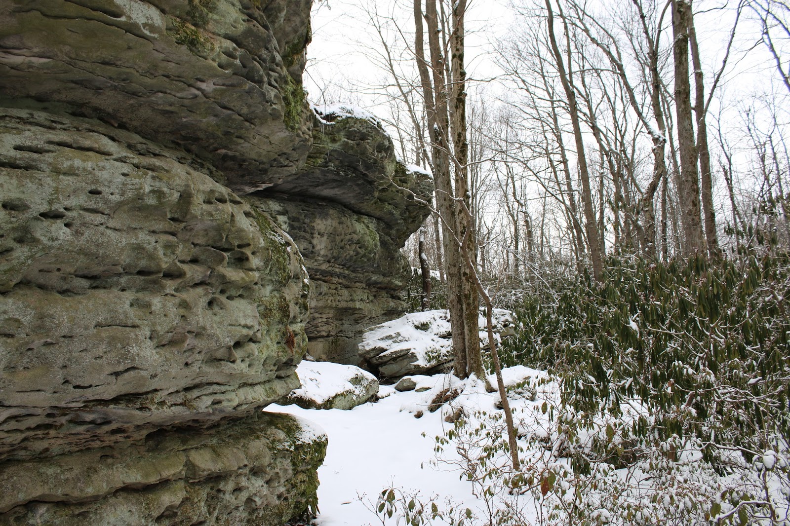 Panther Rocks, Moshannon State Forest near SB Elliott State Park ...