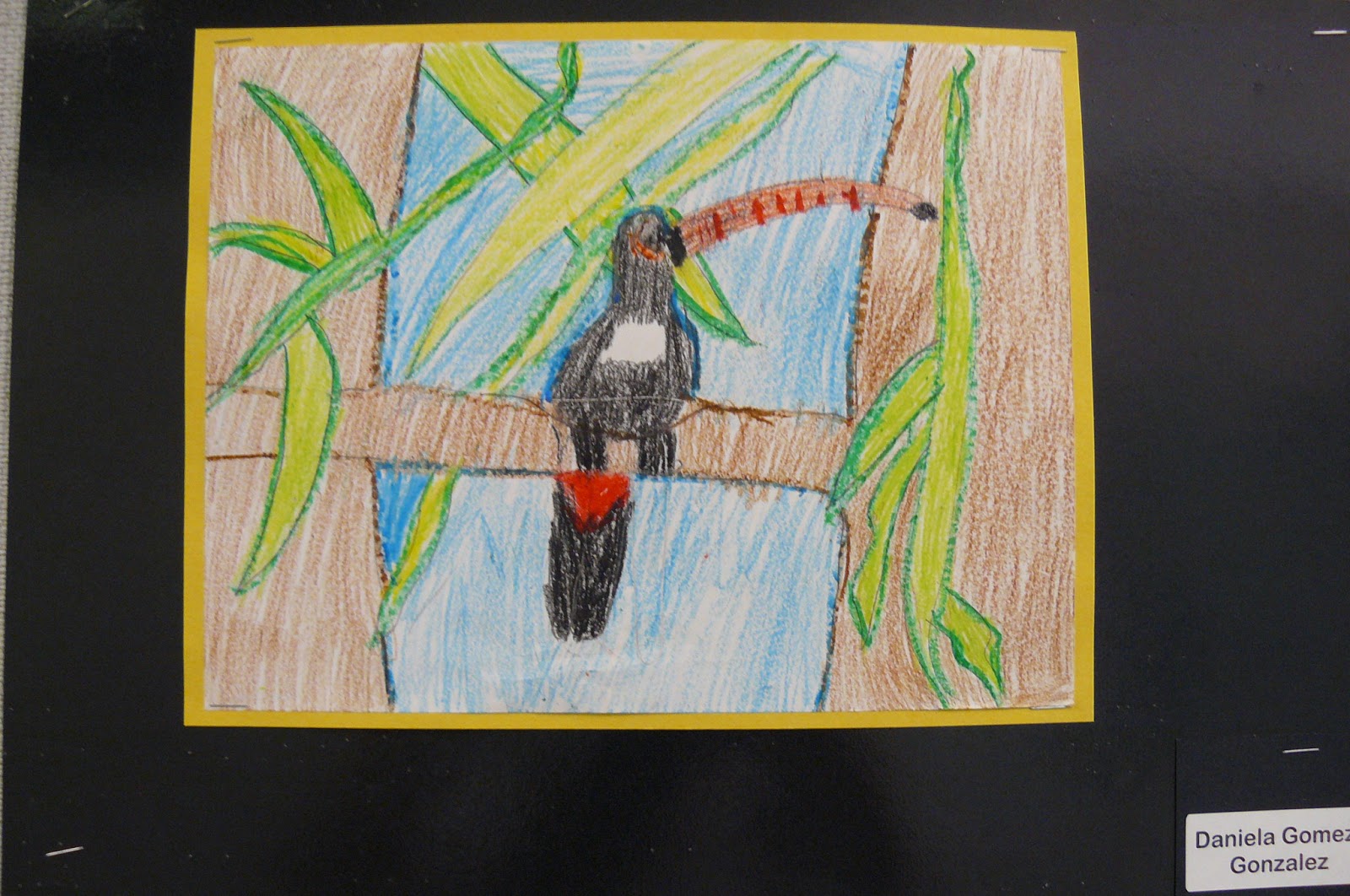 Learning in Room 206: Toucan Directed Drawings