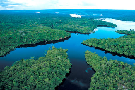 Amazon River Brazil:Asia Tour and Travel