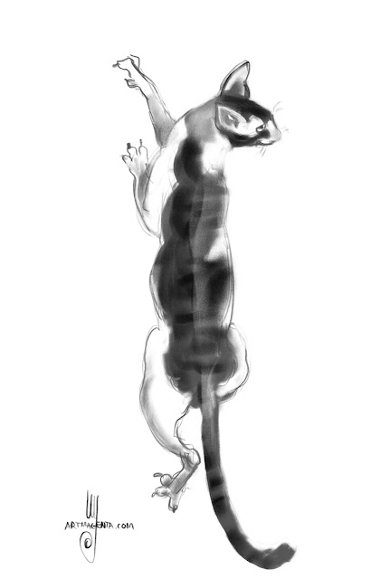 Sketchbook: Cat portrait