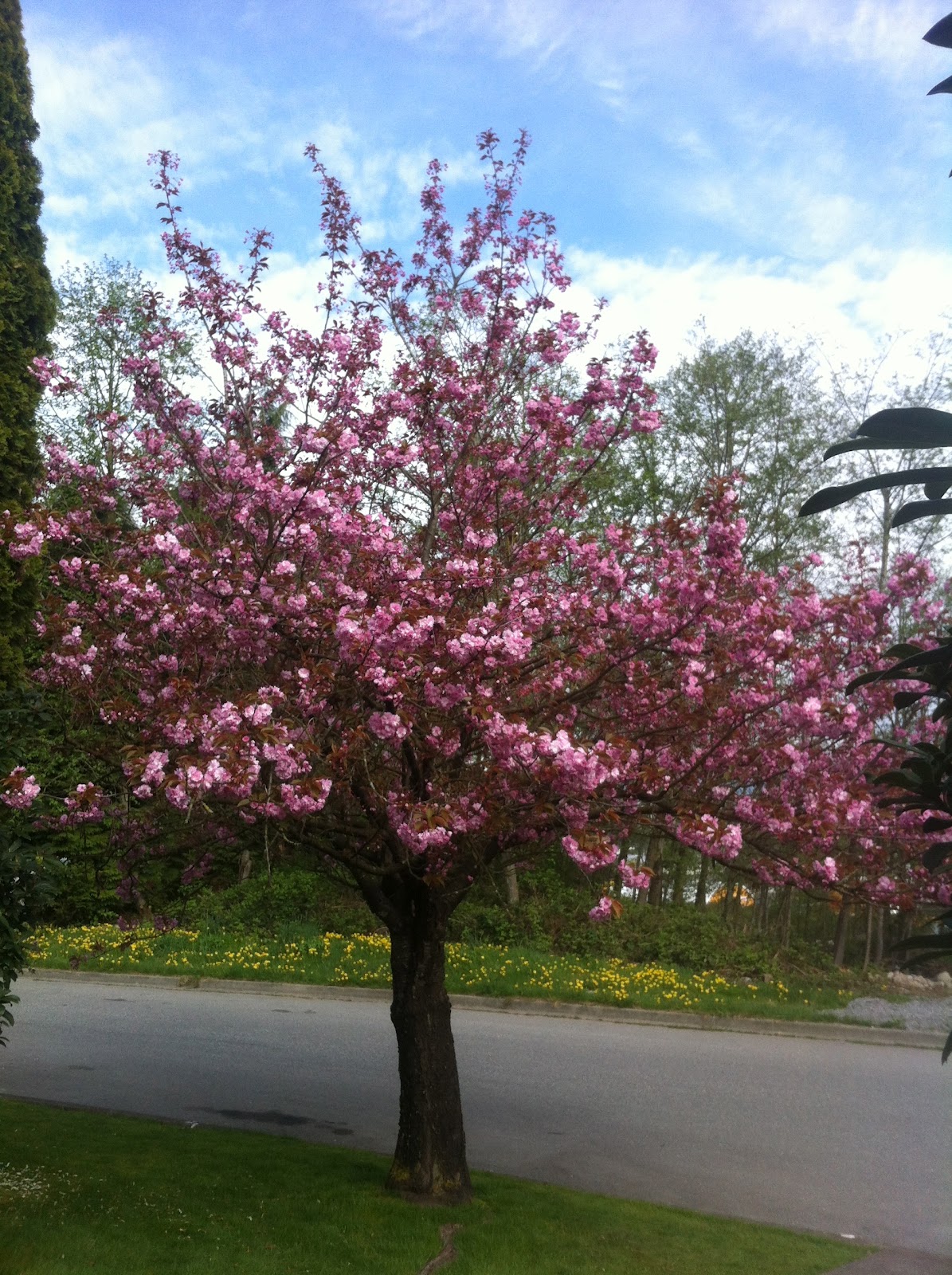 jennifer's blog in hec