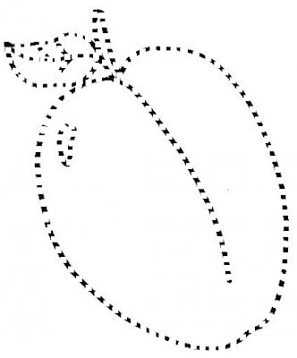 PLANSA cu FRUCTE Punctate - Mar punctat - Para punctata - Pruna ...