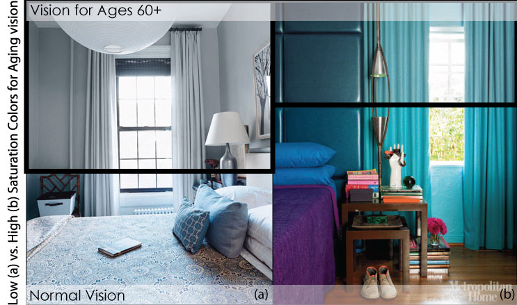 Life In Color: The effects of Aging on Color Vision