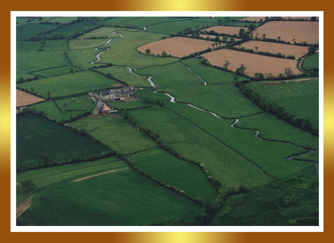 Guía del Plantabosques: BOCAGE
