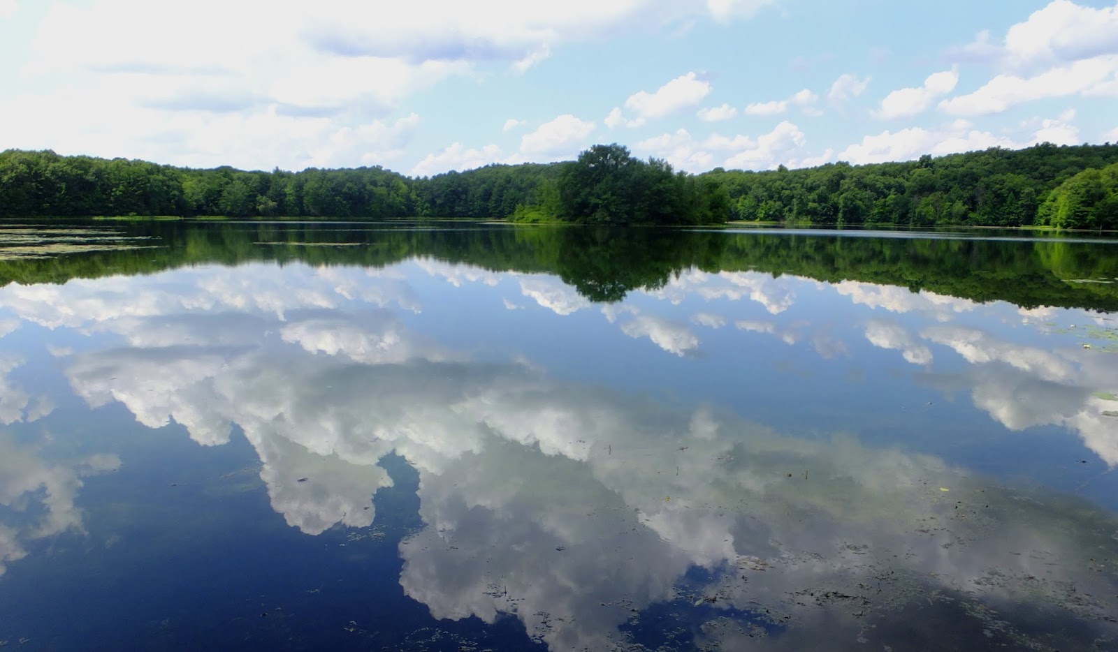 Plants Amaze Me: Places in Barry County, Michigan