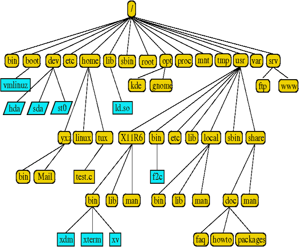 FILE DAN DIREKTORI PADA LINUX