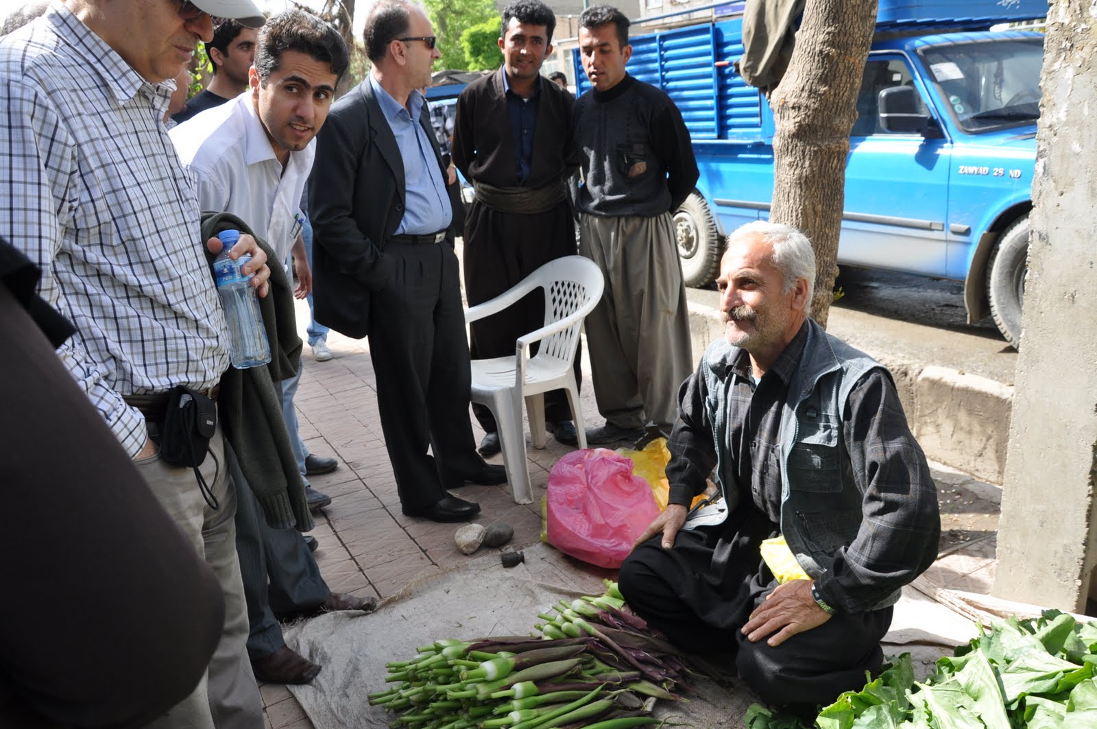 The Olive Journey: A stopover in Kamyaran - Kurdistan, Iran