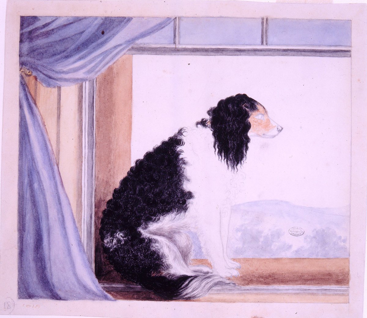 the Brontë Sisters: Anne Bronte made 2 unfinished drawings of her pet ...