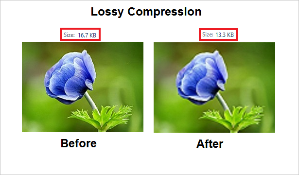 Compression losses ~ Srisailam Blog