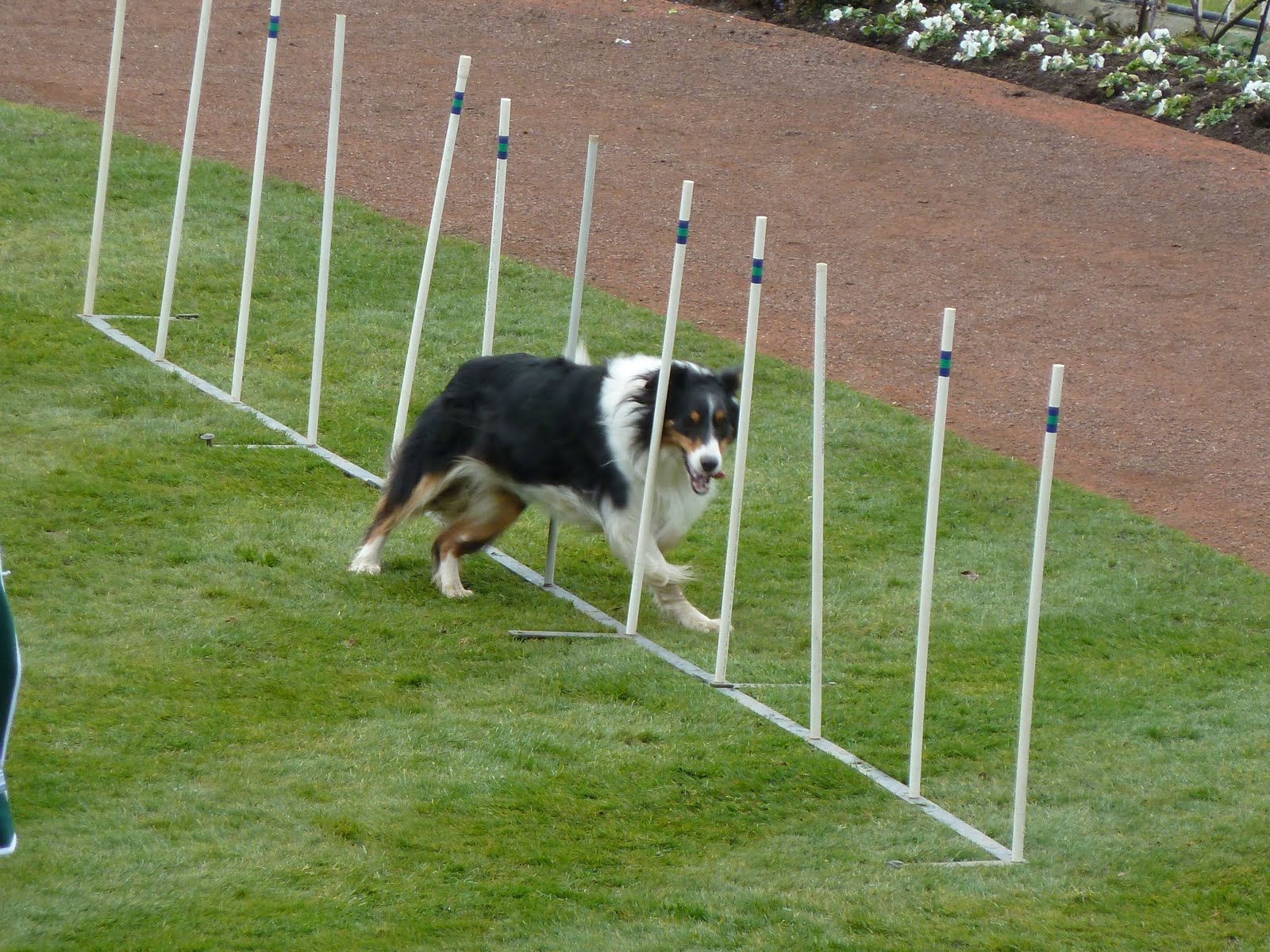 The Adventures of Travellin' Uncle Matt: CHRISTCHURCH - NEW ZEALAND