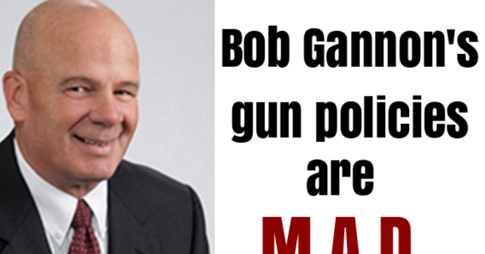 Political Heat: Bob Gannon’s gun views rely on the doctrine of Mutual ...