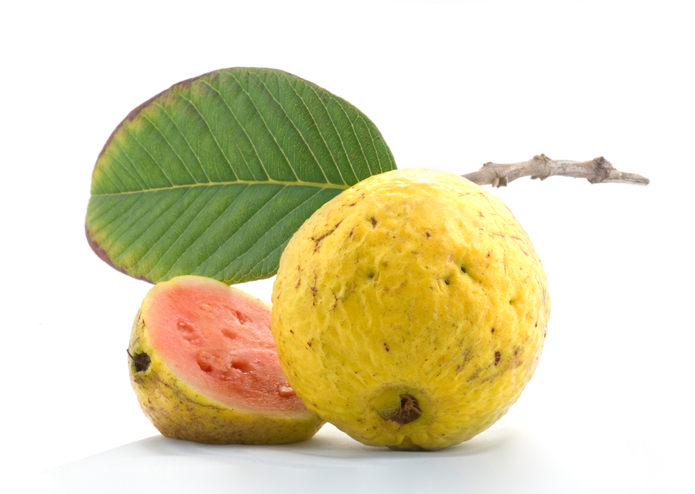 El Tostón de Luismi: GUAYABA