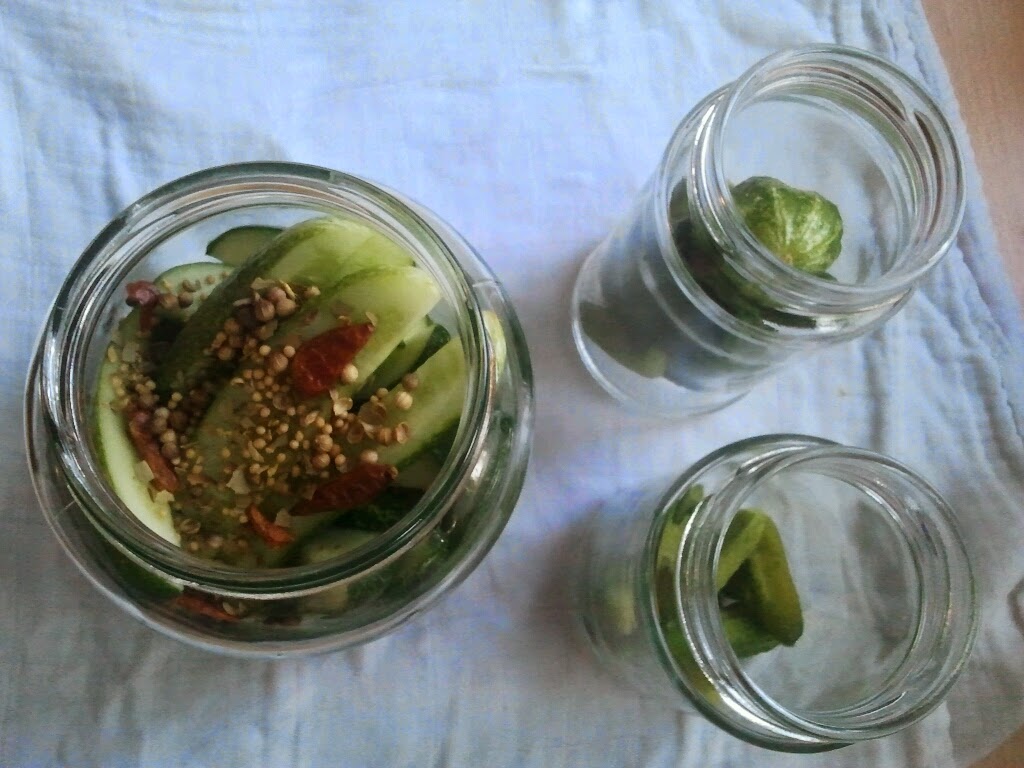 Uit Mijn Keukentje: Augurken inmaken