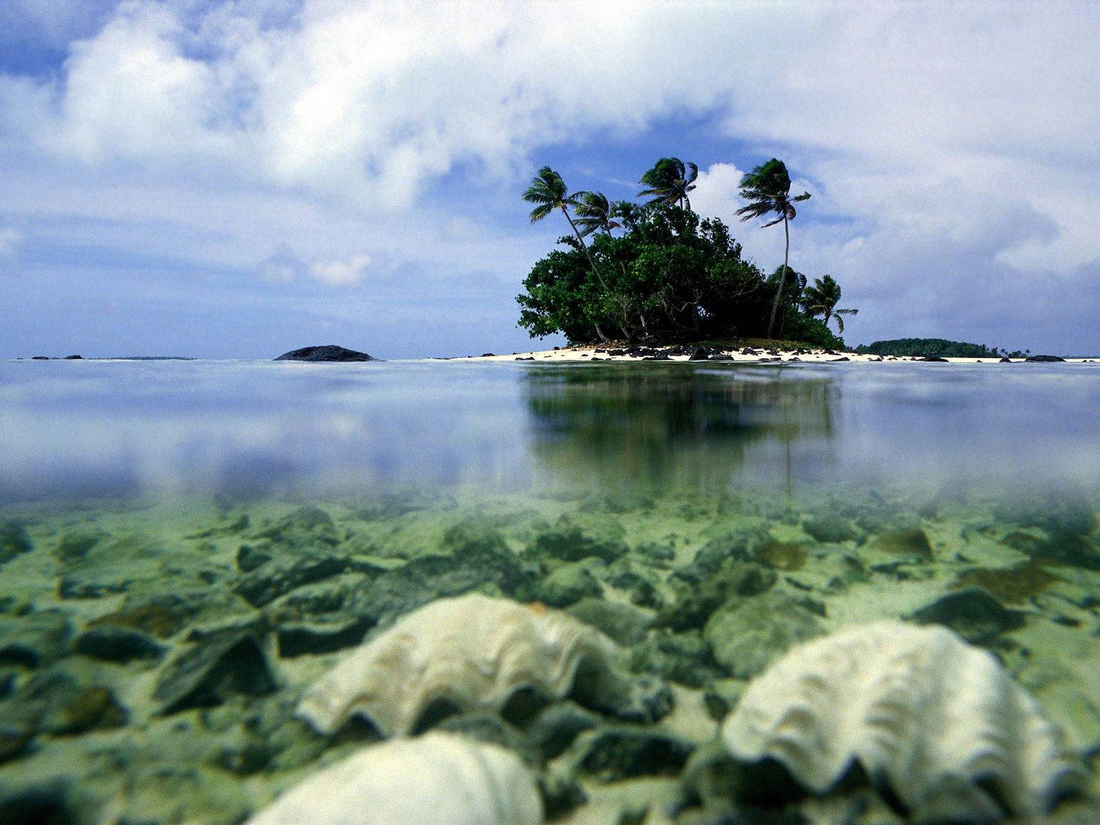 Cook Island Wallpaper