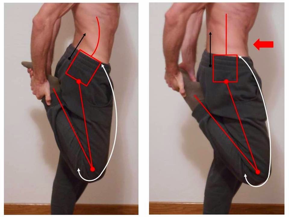 De Arte Gymnastica: Esercizi di stiramento muscolo-tendineo.