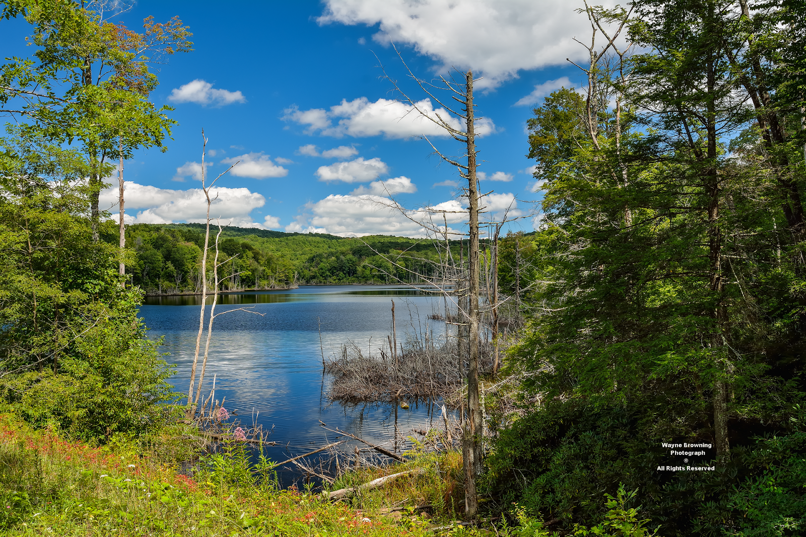 The High Knob Landform: The High Knob Landform