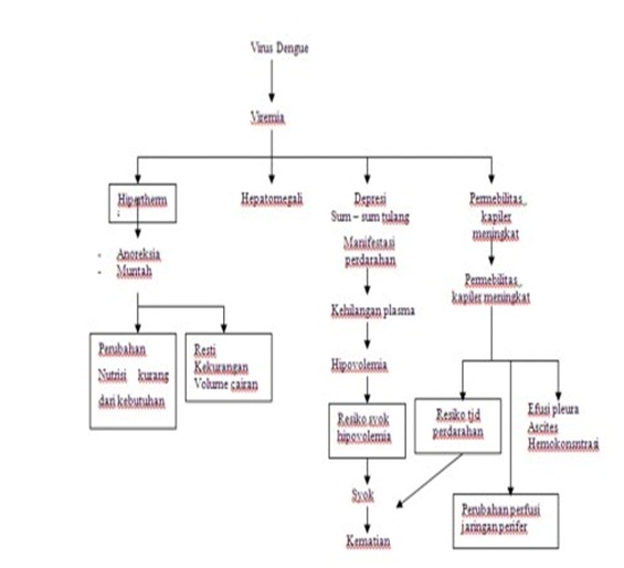 VETAMINMIN: Asuhan Kebidanan Pada Anak Dengan Dengue Heemoragic Fever