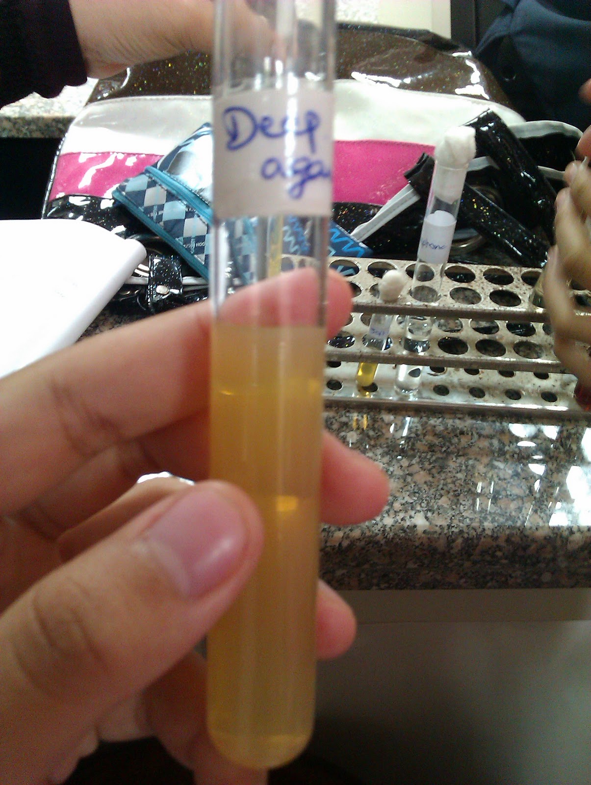 tamaniyah tibb team :): prak microb I