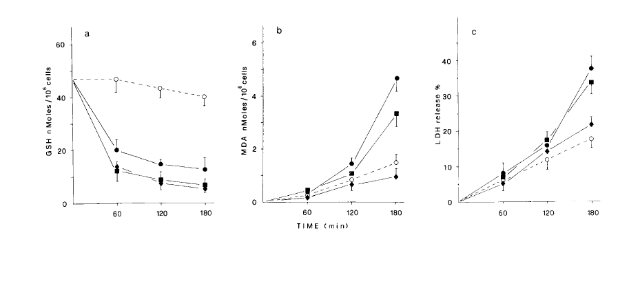 The Boundless Thicket: The Trouble with Tylenol