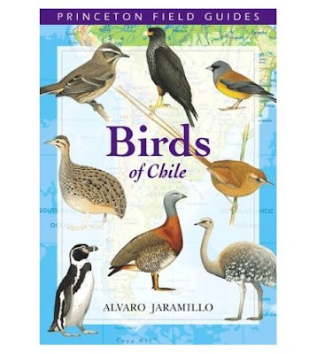 Southern Cone Travel: Birds of Chile: An Ornithological Extravaganza