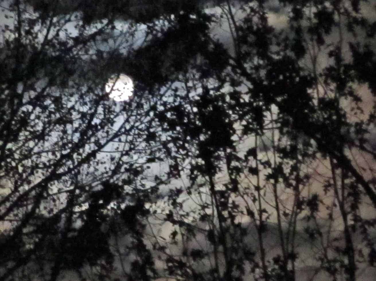 Summit Musings: November Waning Moon