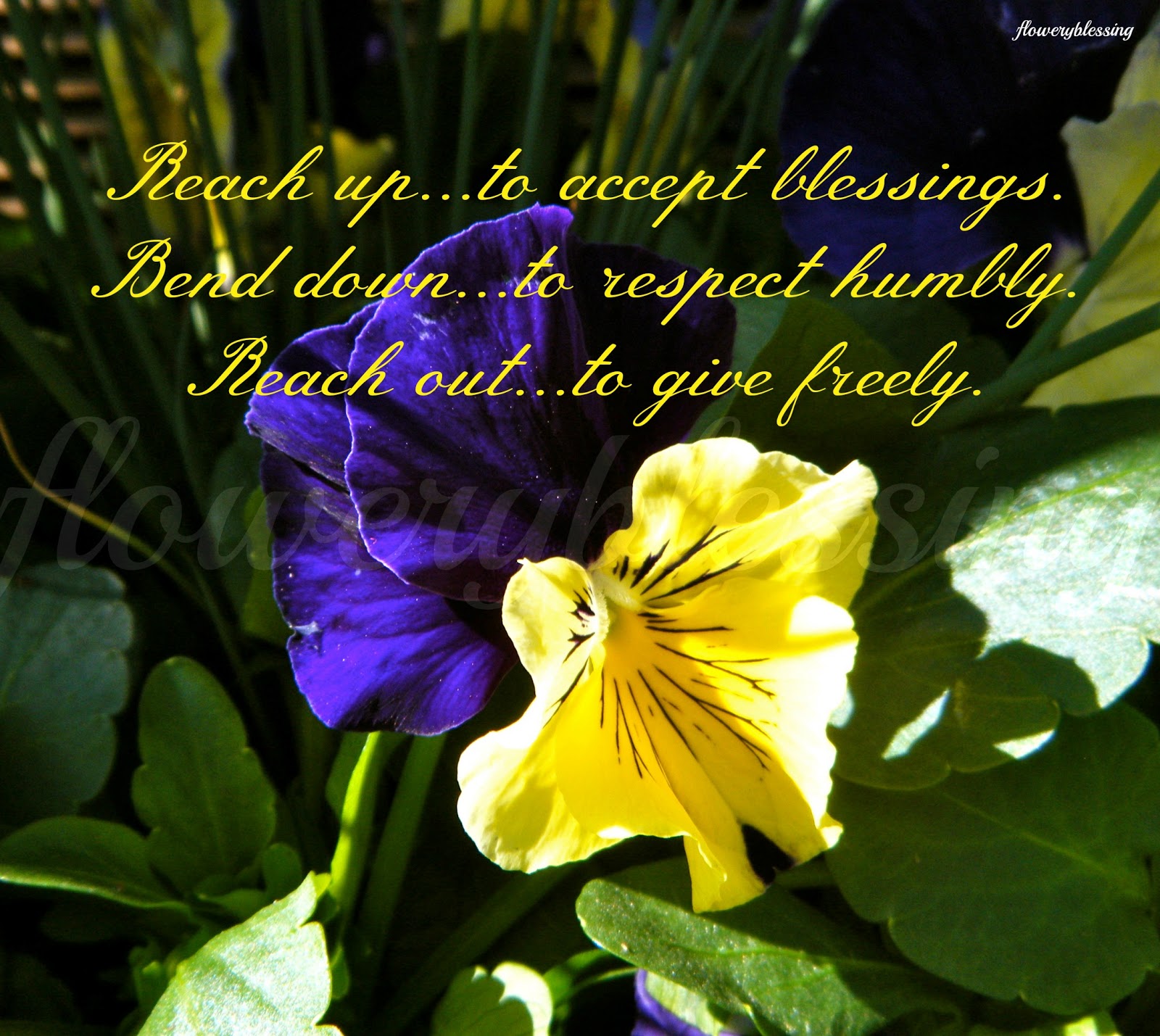 Flowery Blessing: Reach up...to accept blessings. Bend down...to ...