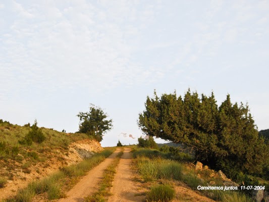Frida bouchot: Borrador magico photshop