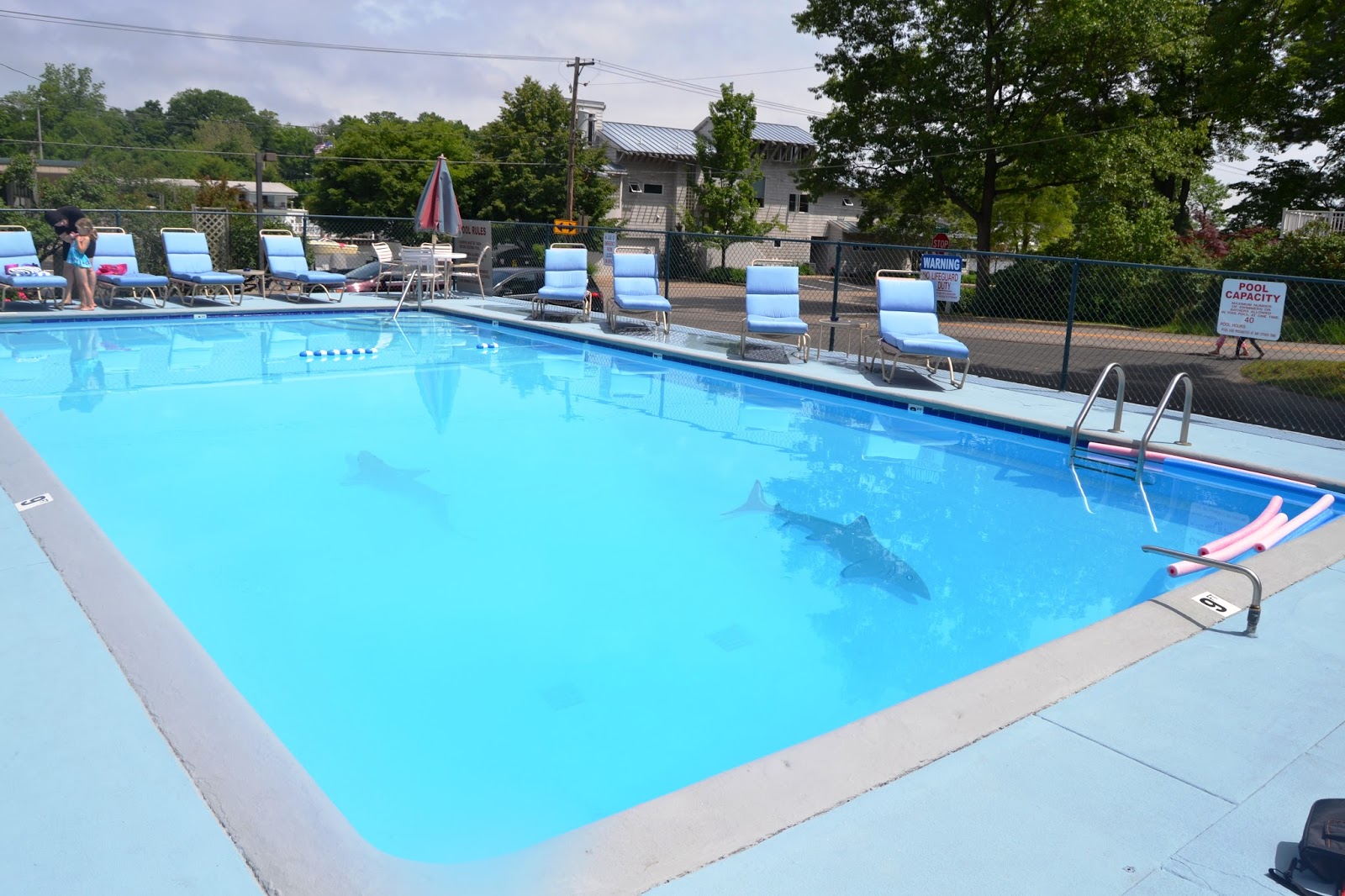 Where to Stay in Saugatuck: The BeachWay Resort | The Nutritionist Reviews