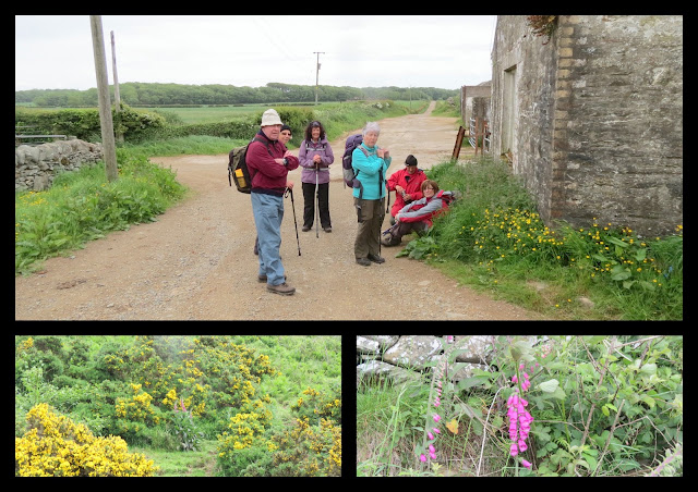 The Glebe Blog: Wigtownshire Ramblers Glasserton June 2013