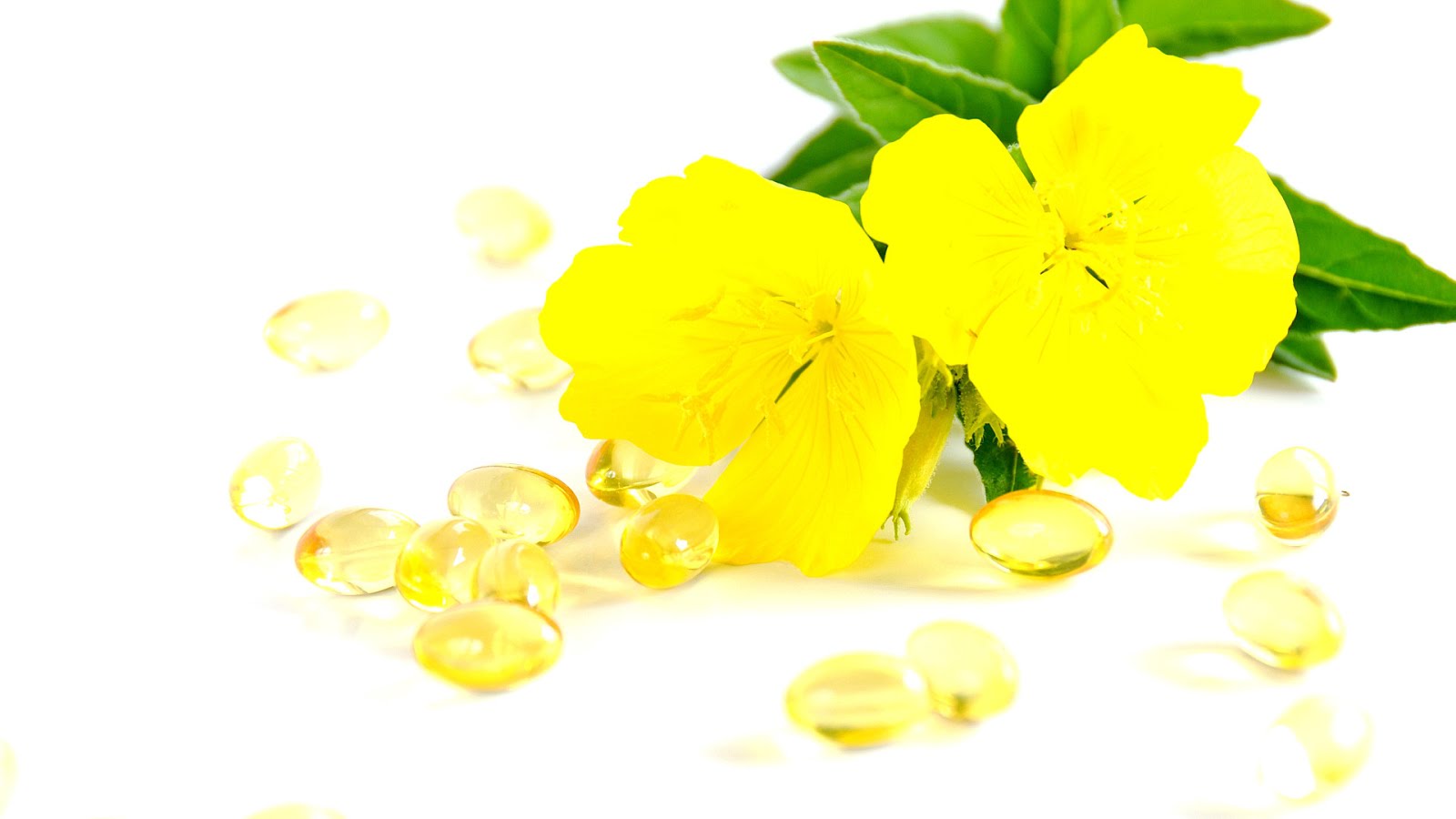 Is Evening Primrose Oil Good For Menopause - Menopause Choices