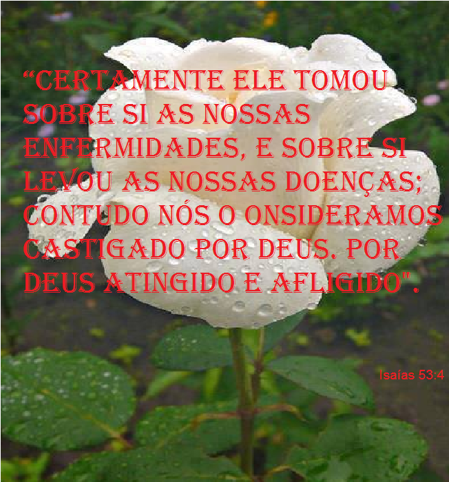 "JESUS TE AMA": Isaías 53:4