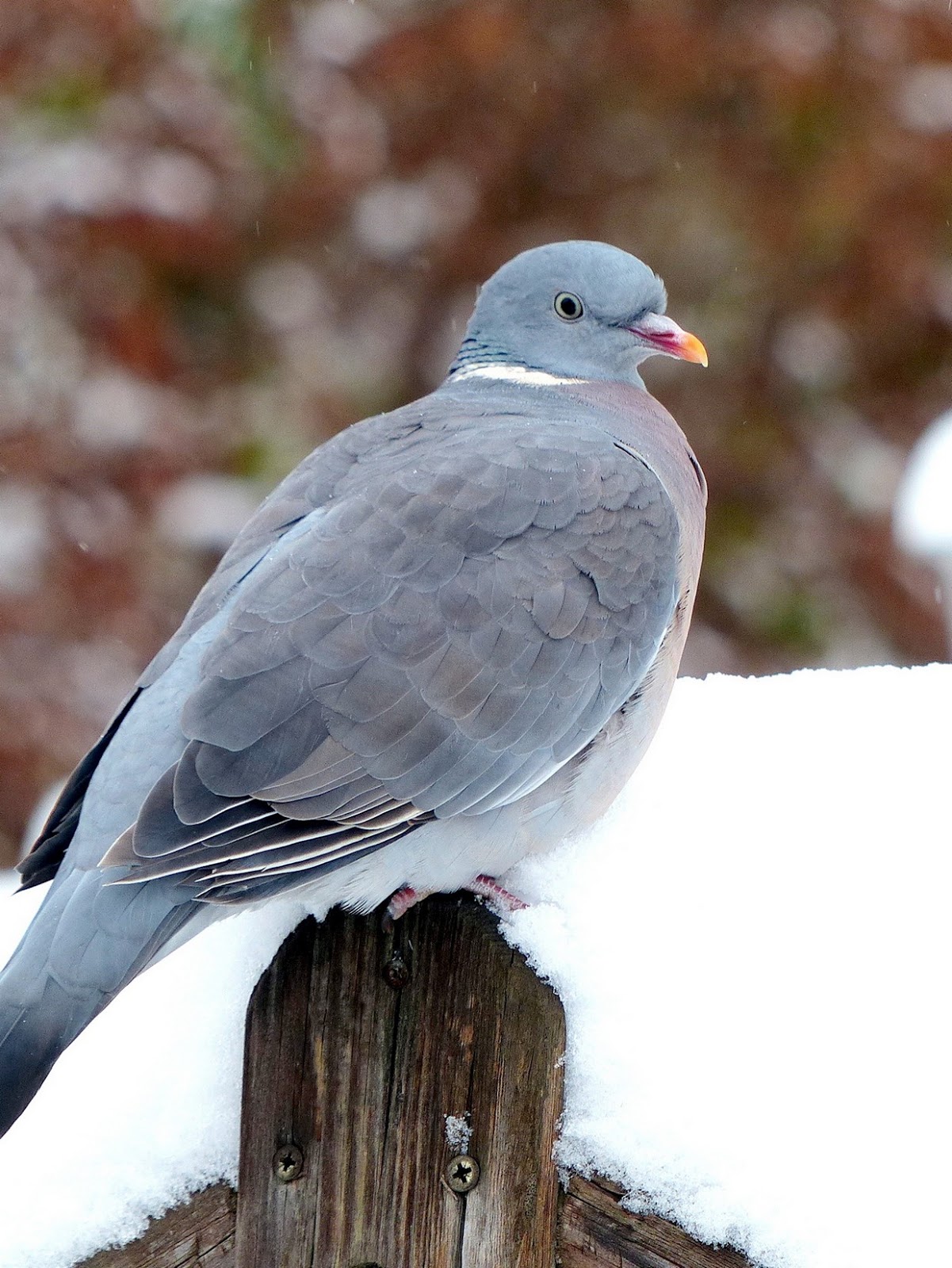 Inutile pour les uns indispensable pour les autres ! !: L'histoire de ...