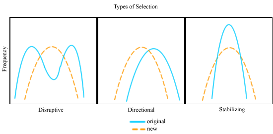 Nakul Nagaraj Biology Blog: Unit 8 Reflection