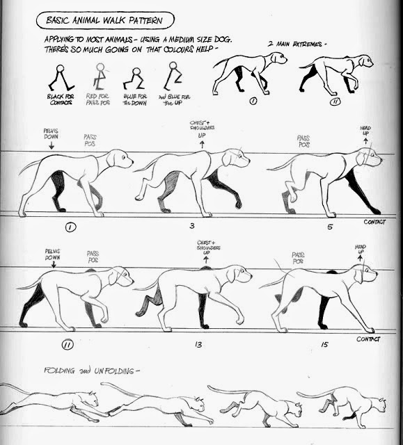 165-166: Walk, Fly, Swim.