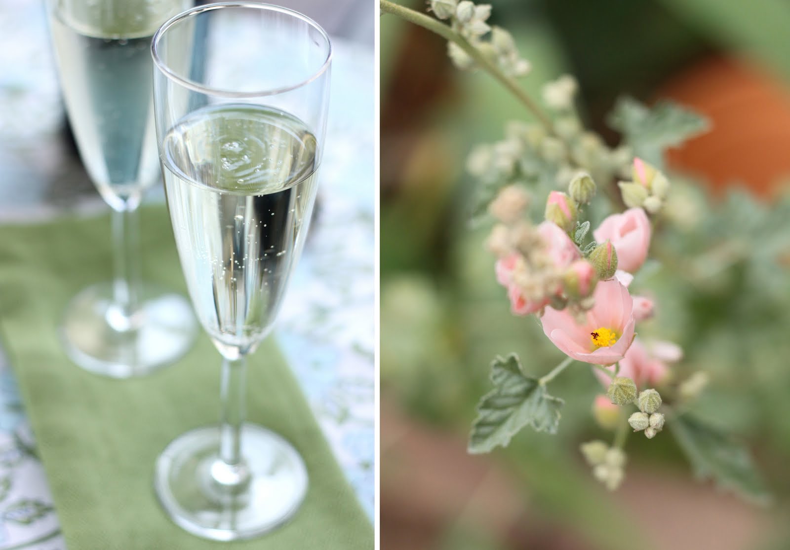 The Cilantropist: Sparkling Wine with Lemon Thyme Sorbet