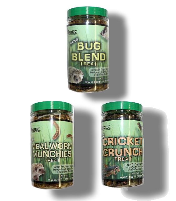 Sugar Glider Store Blog: NEW PRODUCTS ! Canned & Dried Insects Sugar ...