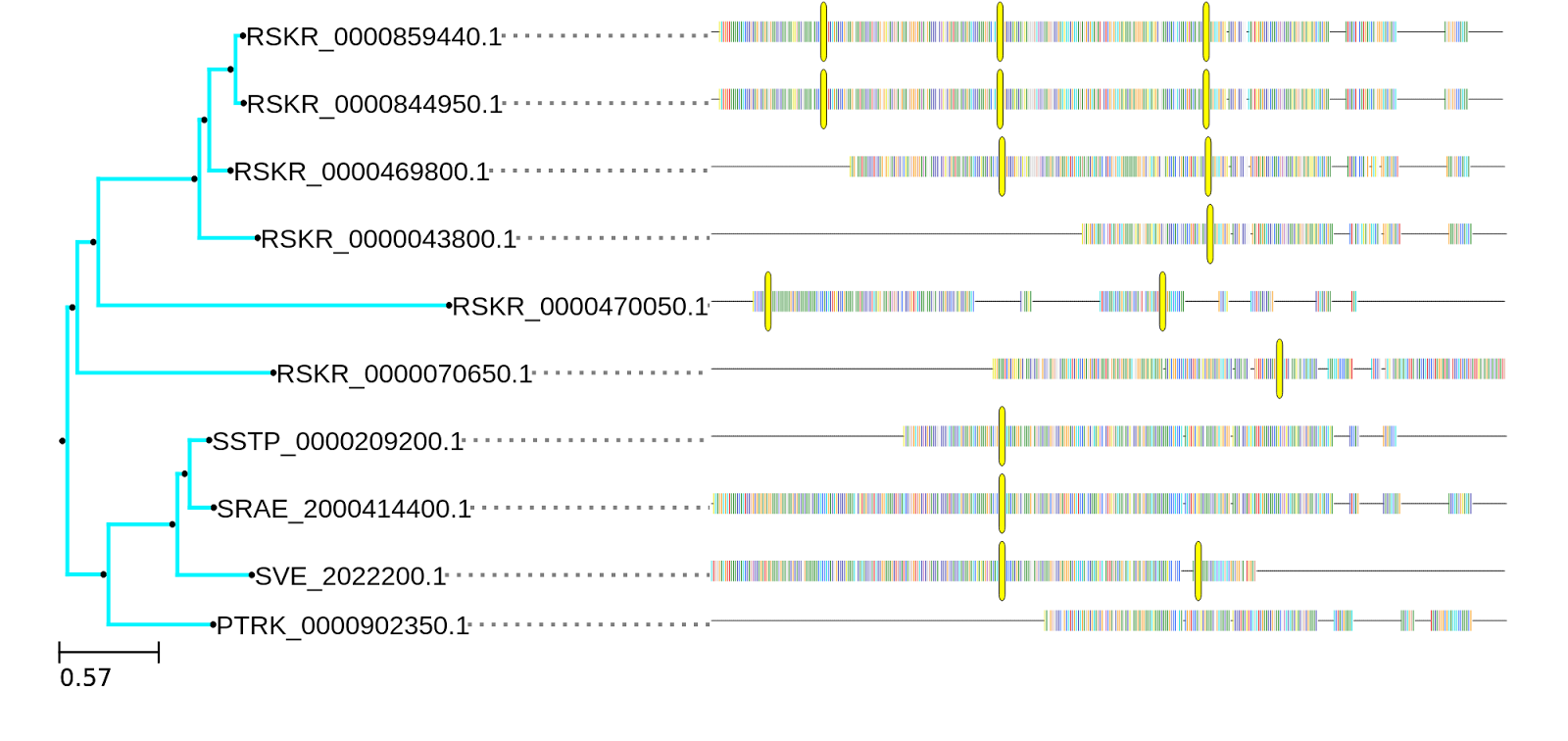 avrilomics: Plotting a phylogenetic tree with the alignment, using ete2 ...