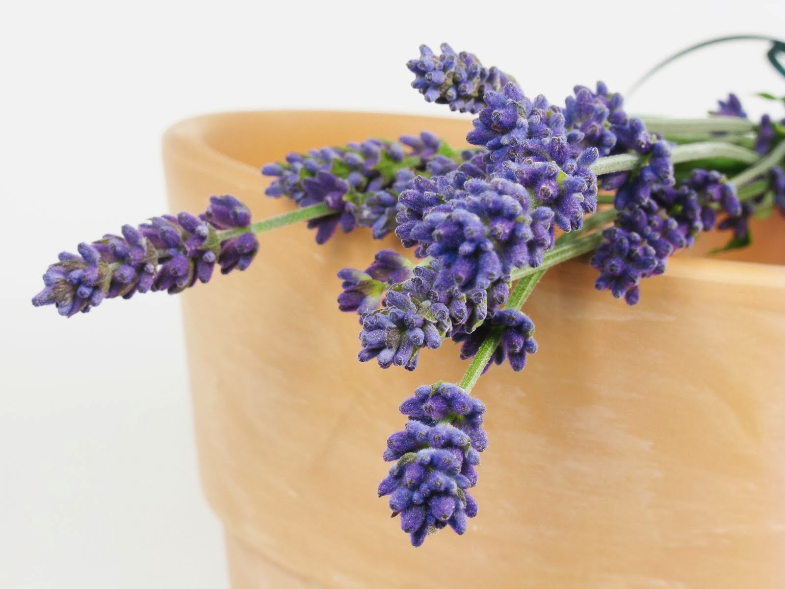 Velaroma- die dufte Pflegepraxis: Windpocken, wilde Blattern, spitze ...