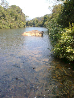 Sri Kshethra Dharmasthala - Must Visit Temples Near Dharmasthala