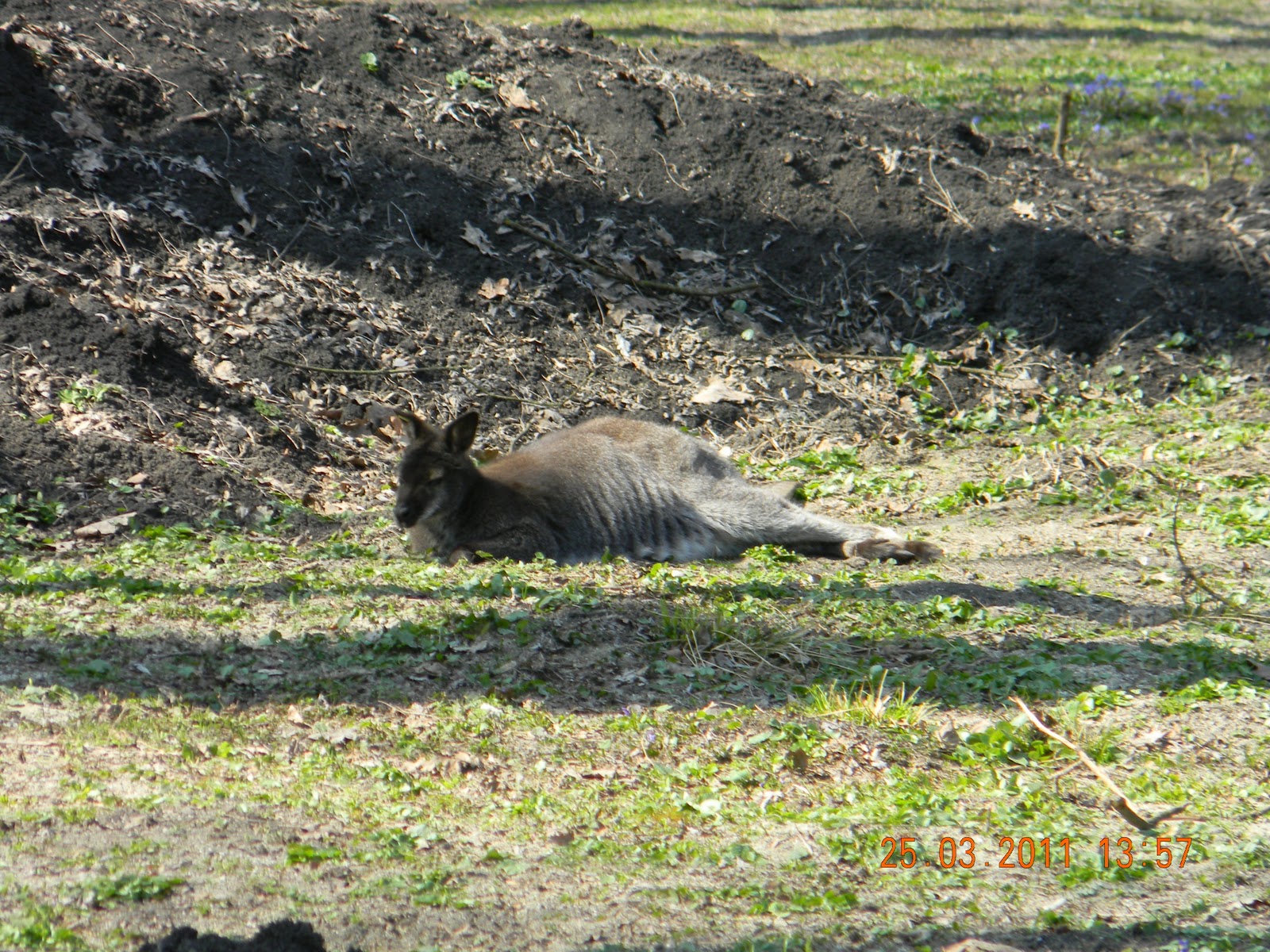 Trip-ideas: Gradina Zoologica din Timisoara