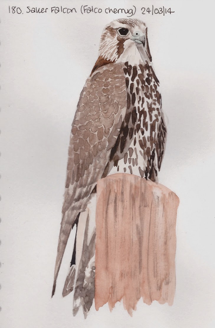 Learn.Draw.BIRD.: March 2014