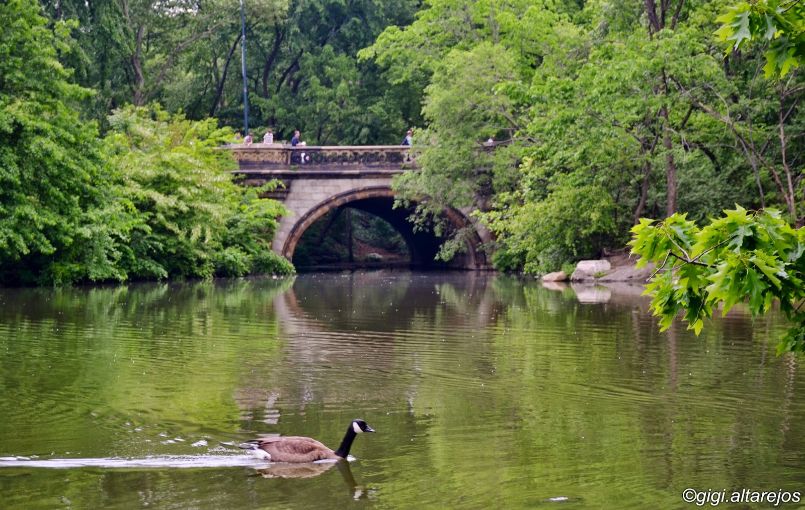My Walking Pictures: The Bridges and Arches of Central Park - Part 1