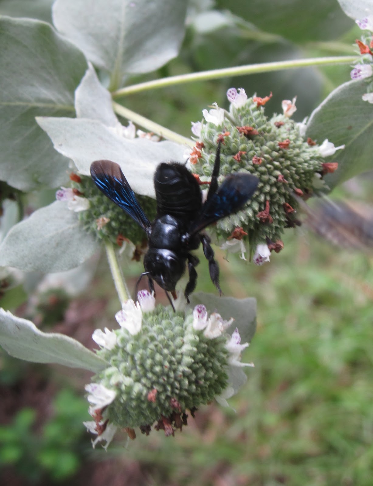 6 Generations: July 2013