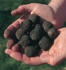 Bucurie, bunastare, hrisca: Raw.zeite & zei - pelin, cuisoare si nuc negru