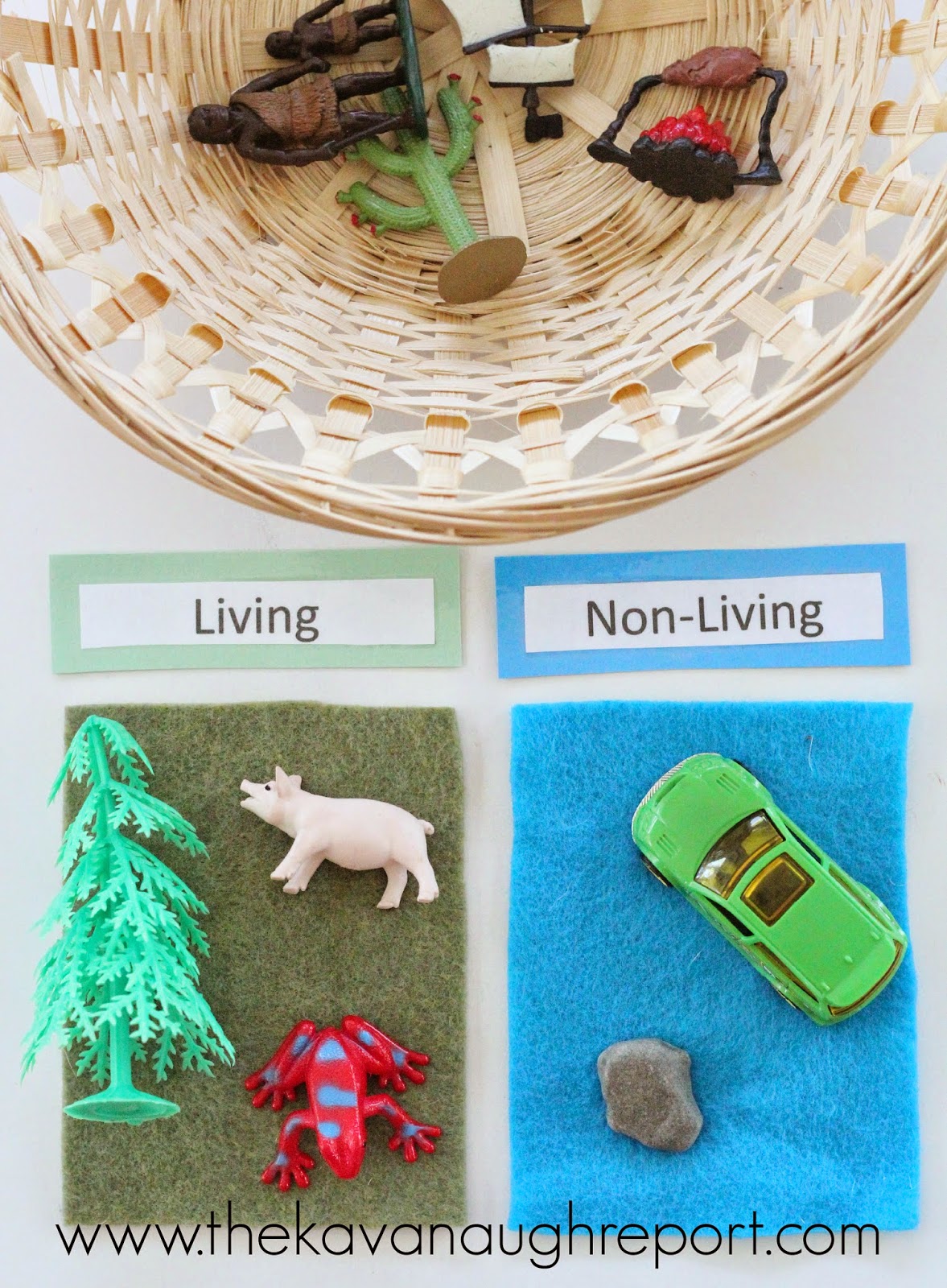 Montessori Inspired Math and Science Trays