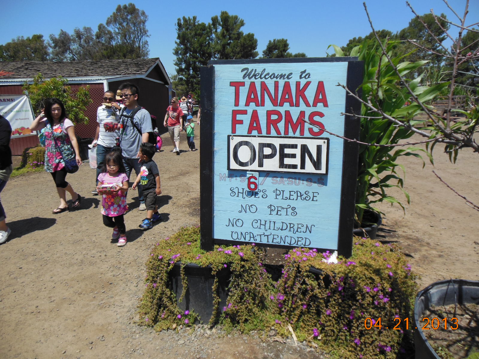 Pumpkinmania!: Tanaka Farms I: Season's Opener